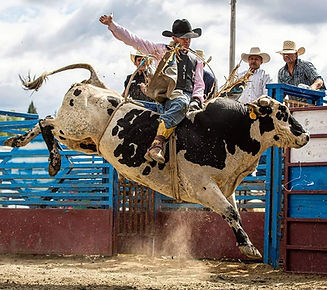 New England Rodeo | Rodeo | United States