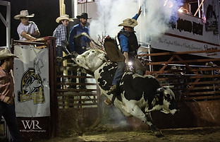 New England Rodeo | Rodeo | United States