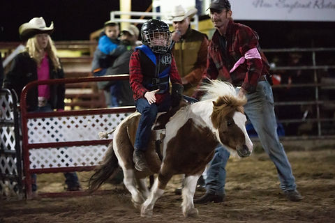 NEW ENGLAND RODEO | CHAMPIONS