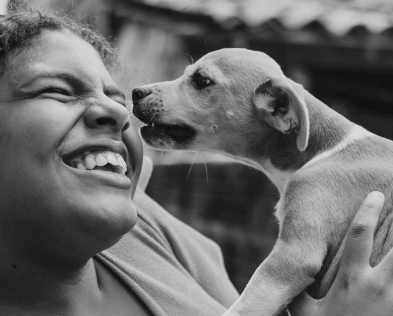 mock5 design inc. | people-focused creative agency