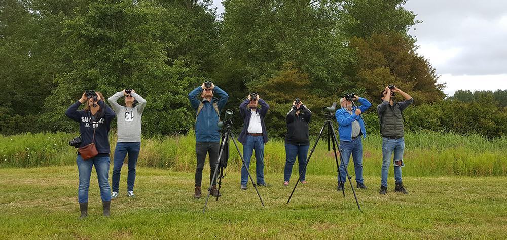 Dagexcursies: vogels, vlinders, libellen en meer!