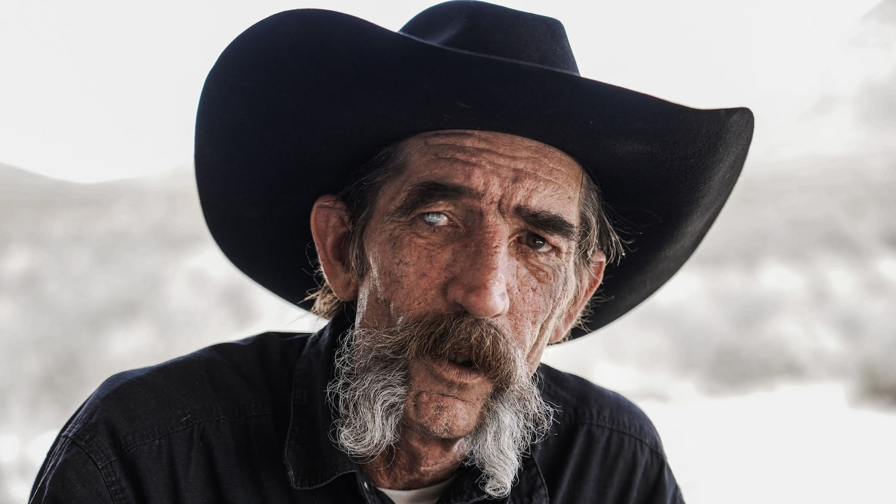 TY MITCHELL | Collier Talent Agency