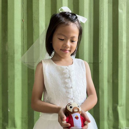 First Holy Communion | Bow Hairclip Veil | Partridge Parish