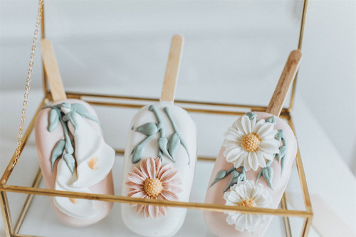 Large Custom Cakesicles | Ginger&Spice Cakery