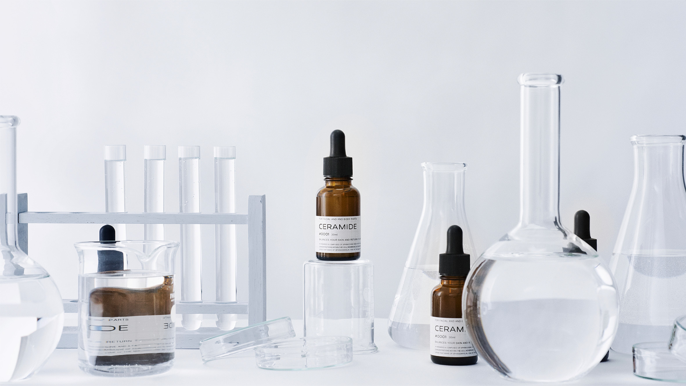 HOME | My laboratory