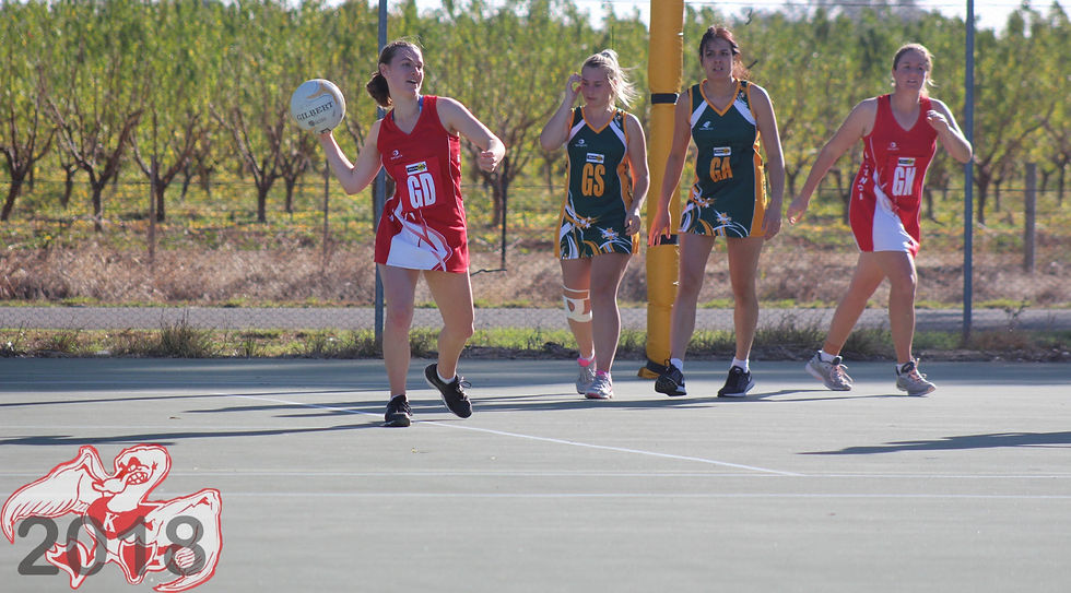 Faye Cook Medal | Katunga Football Netball Club Faye Cook Medal | Katunga Football Netball Club