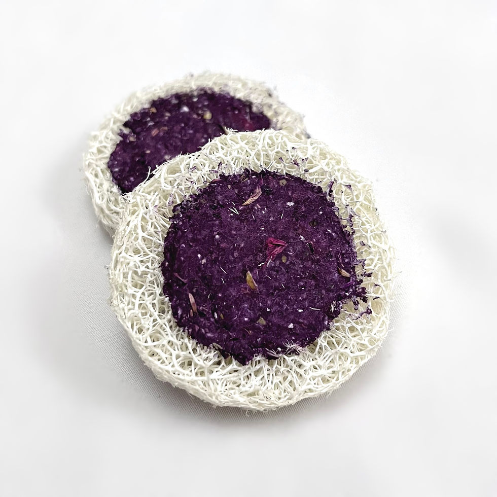 Cassis Magic Swiss Roll | Taffy's