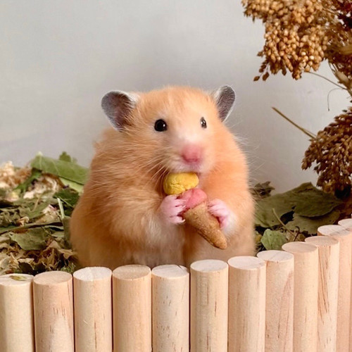 Ice Cream Cones | Taffy's