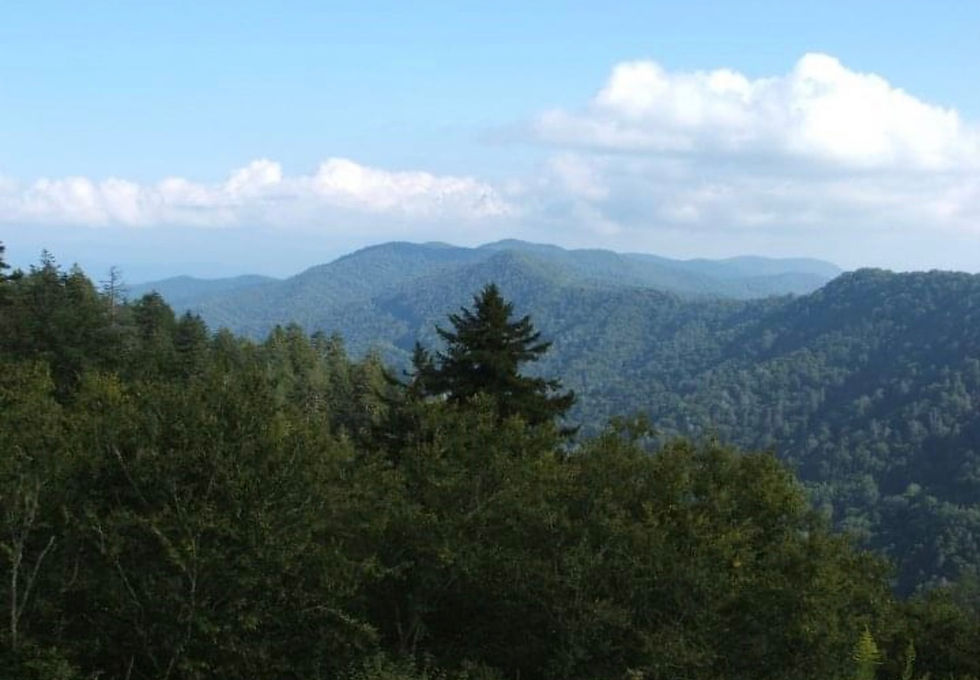 Exploring The Great Smoky Mountains: A Lifelong Visitor's Guide on How ...