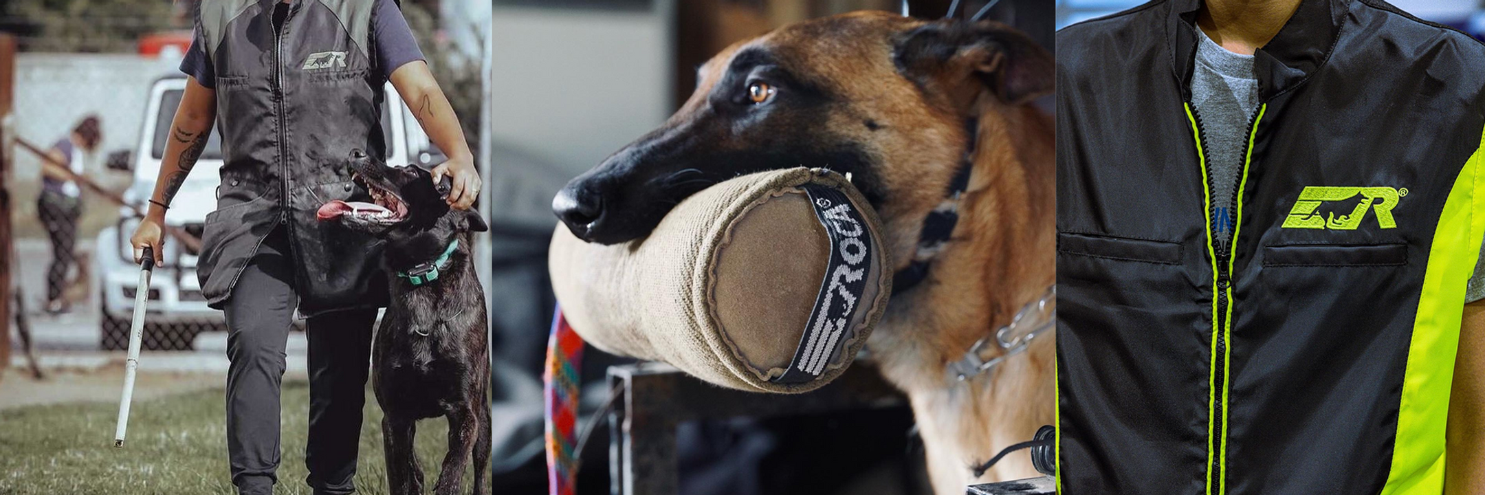 ROK9 | Mojo Dog Co