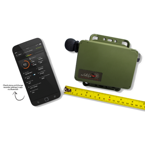 Song Meter Mini Acoustic Recorder | Wildlife Services