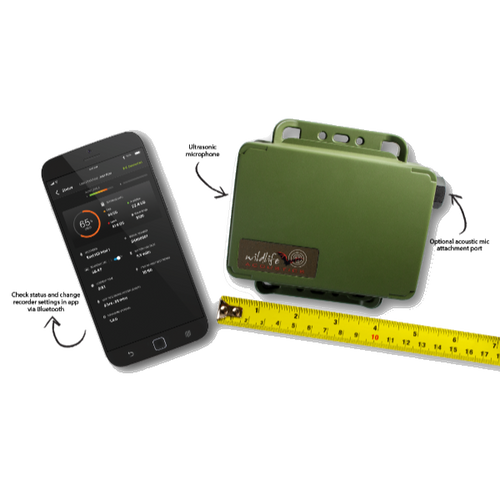 Song Meter Mini Bat Recorder - HIRE | Wildlife Services