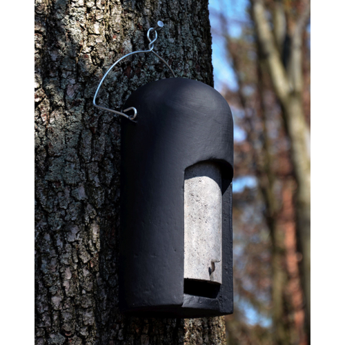 Schwegler 2FN bat box | Wildlife Services