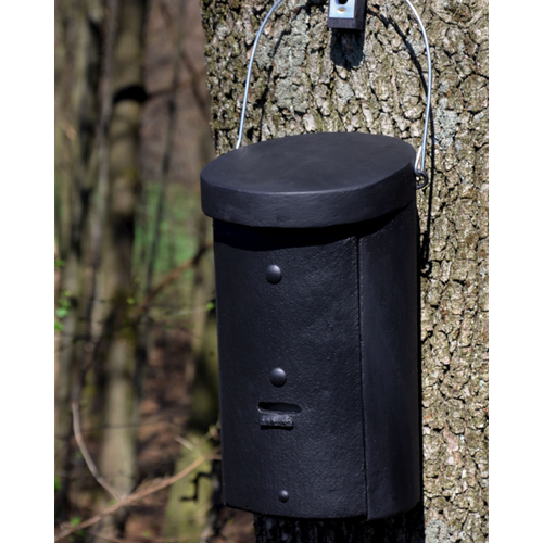 Schwegler 2FS bat box | Wildlife Services