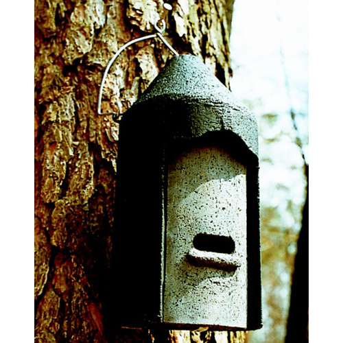 Schwegler 2F bat box | Wildlife Services