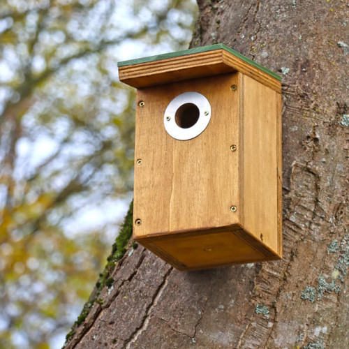 Premium Ecology Basic Nest Box | Wildlife Services