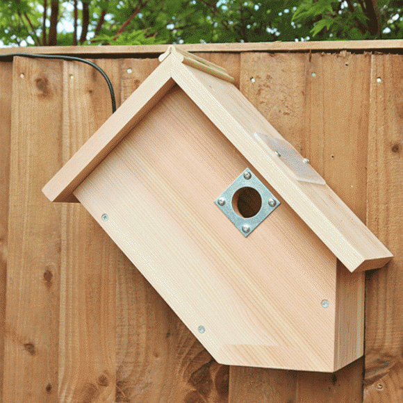 Bird Box Camera System Side-view | Wildlife Services