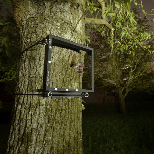 Bat Counter | Wildlife Services