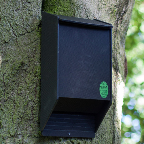 Eco Bat Box | Wildlife Services