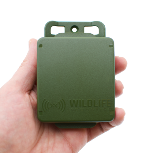 Song Meter Micro Acoustic Recorder - HIRE | Wildlife Services