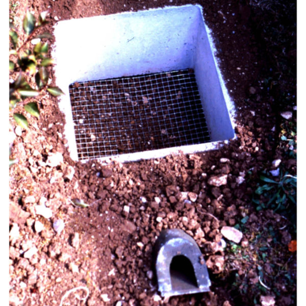 Nestboxes | Wildlife Services