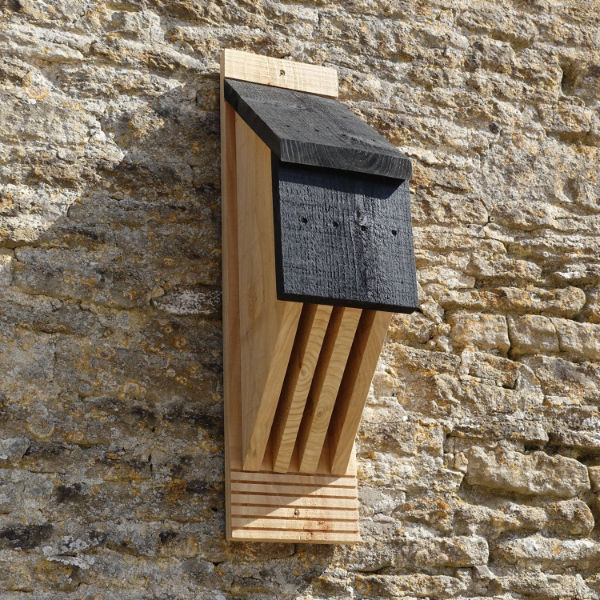Bat Boxes | Wildlife Services