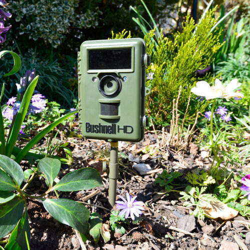 E1 Ground Spike | Wildlife Services