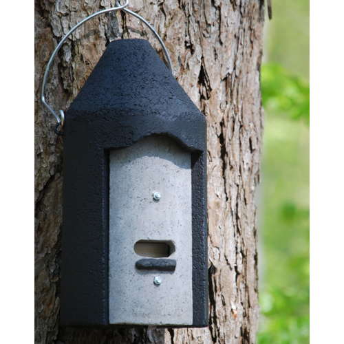 Schwegler 2F DFP bat box | Wildlife Services