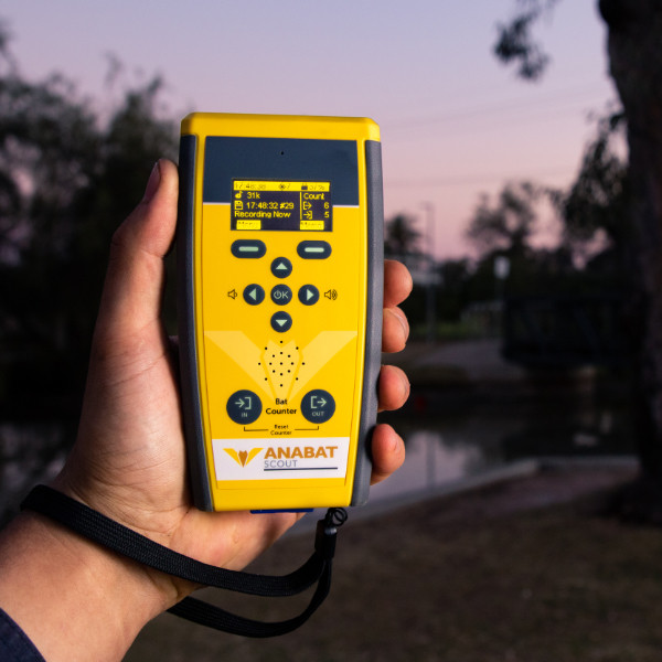 Bat Detectors | Wildlife Services