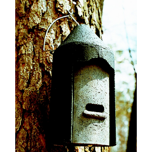 Schwegler 2F bat box | Wildlife Services