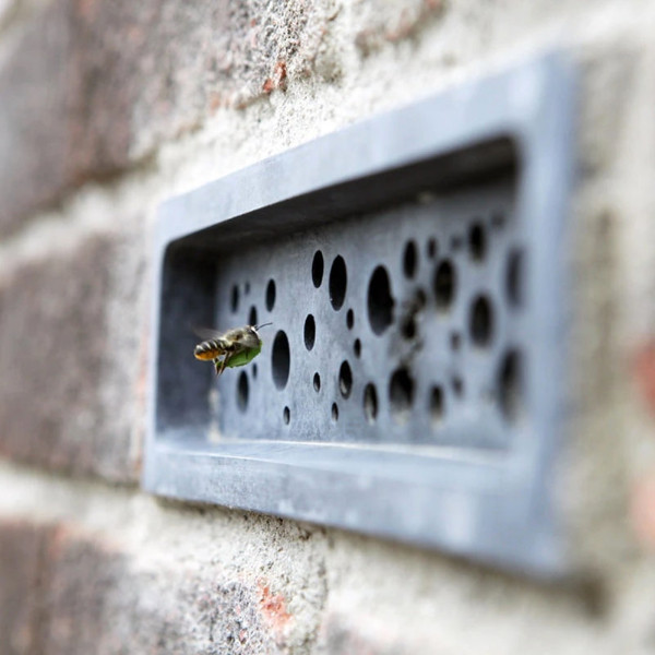 Insect Boxes Flush | Wildlife Services