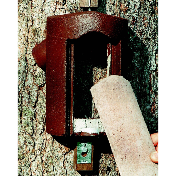 Schwegler 2B treecreeper nest box | Wildlife Services