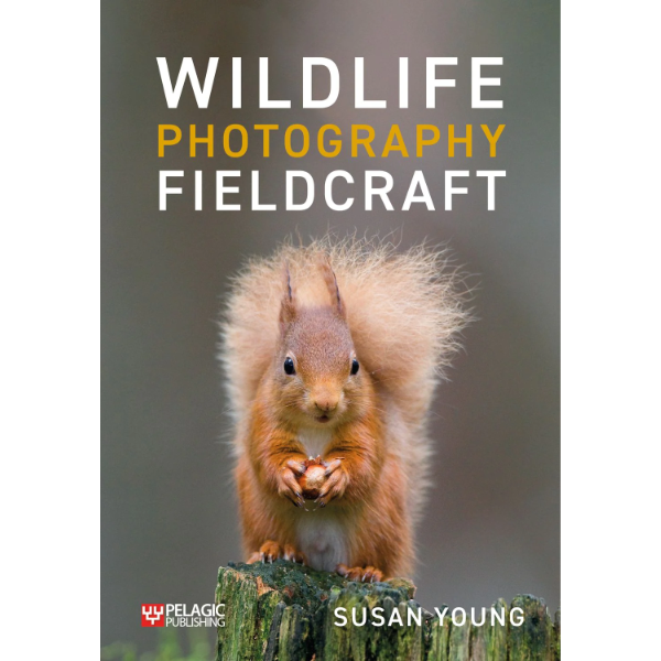 Wildlife Photography Fieldcraft | Wildlife Services