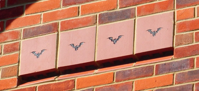 Ibstock Bat Bricks | Wildlife Services