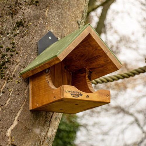 Premium Ecology Open Ledge Bird Box | Wildlife Services