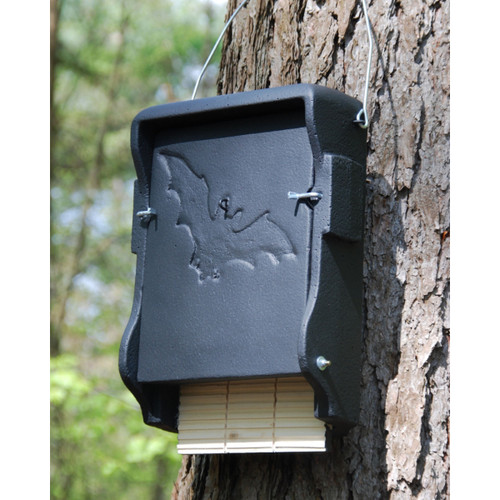 Schwegler 1FF bat box | Wildlife Services