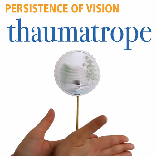 Persistence of Vision - Thaumatrope Kit | Xplorably