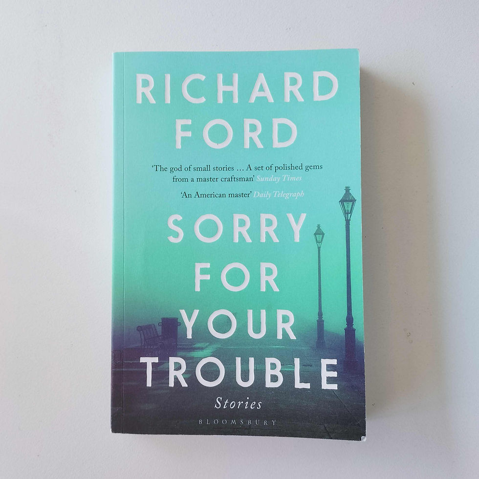 Sorry for Your Trouble | Birch Books