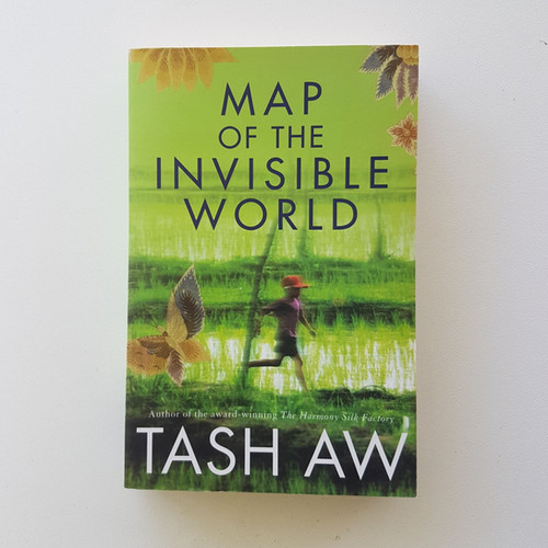 Map of the Invisible World | Birch Books