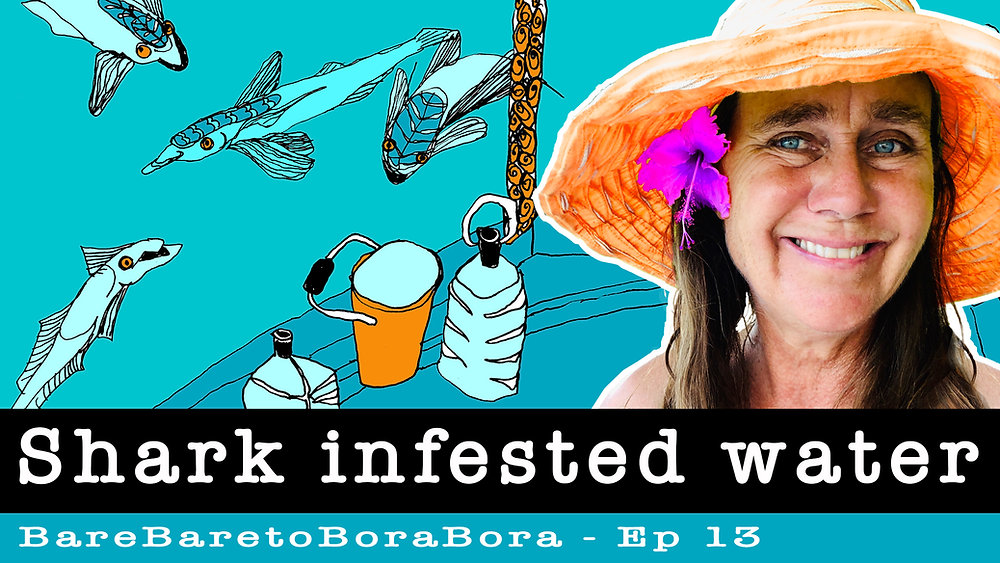 Shark infested water - Sailing BareBare - Ep 13