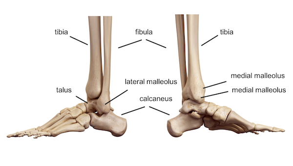 Move Beyond Stretching For Tight Calves Move Beyond Stretching For Tight Calves