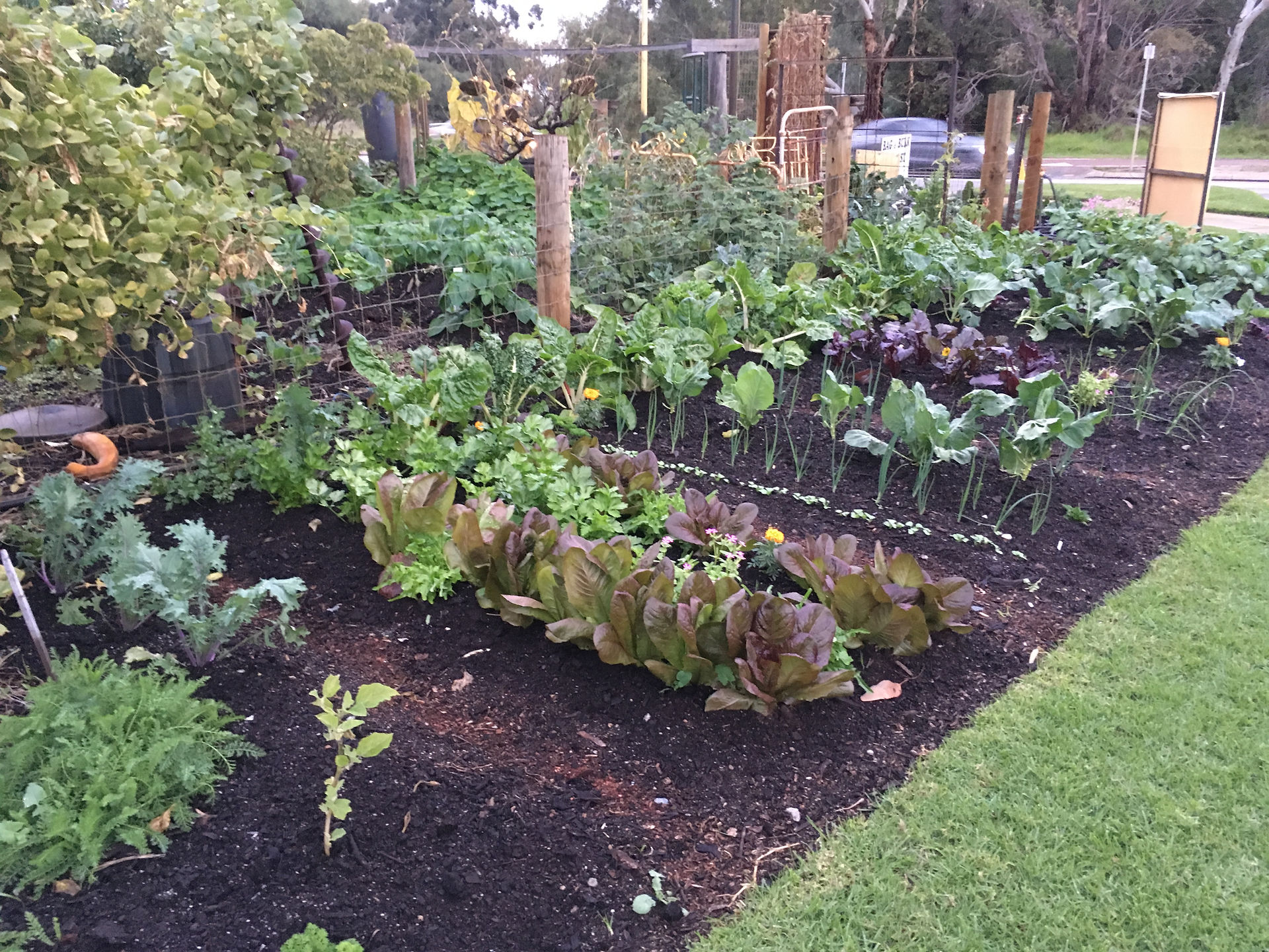 Benefits Of Using Eureka Compost Eurekacompost Benefits Of Using Eureka Compost Eurekacompost