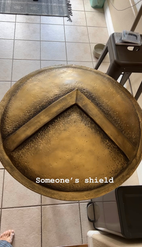 Shield painting/ trimming/ service | WSTD METALS