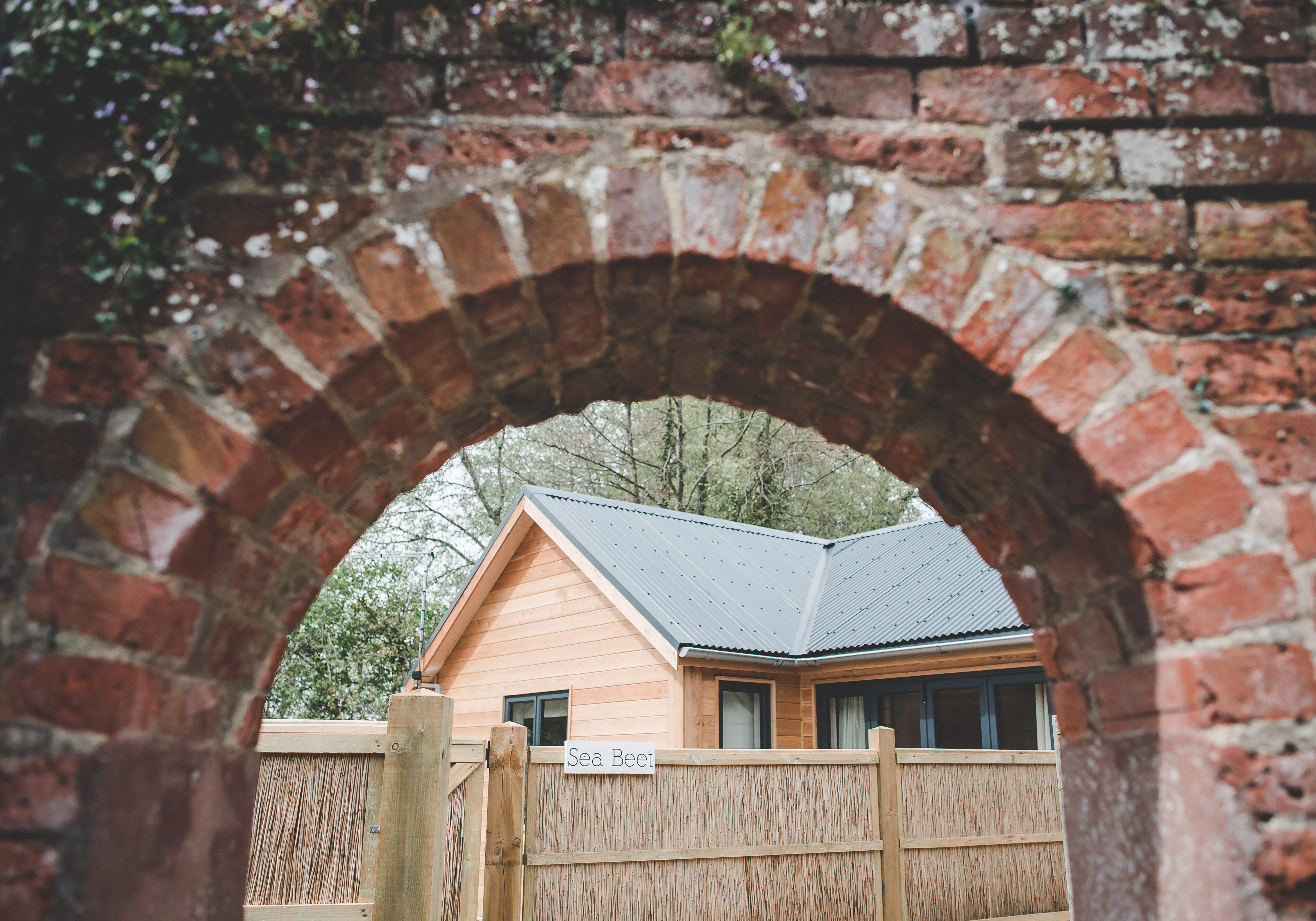 Norfolk Pro Build - Home