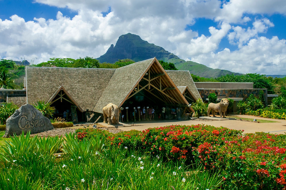 Nos projets | Aluchic Mauritius | Aluminium