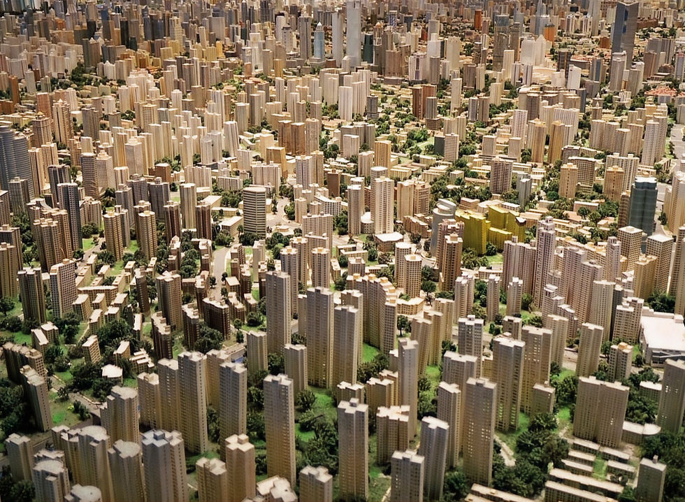 Urbanisation: Concepts and Trends