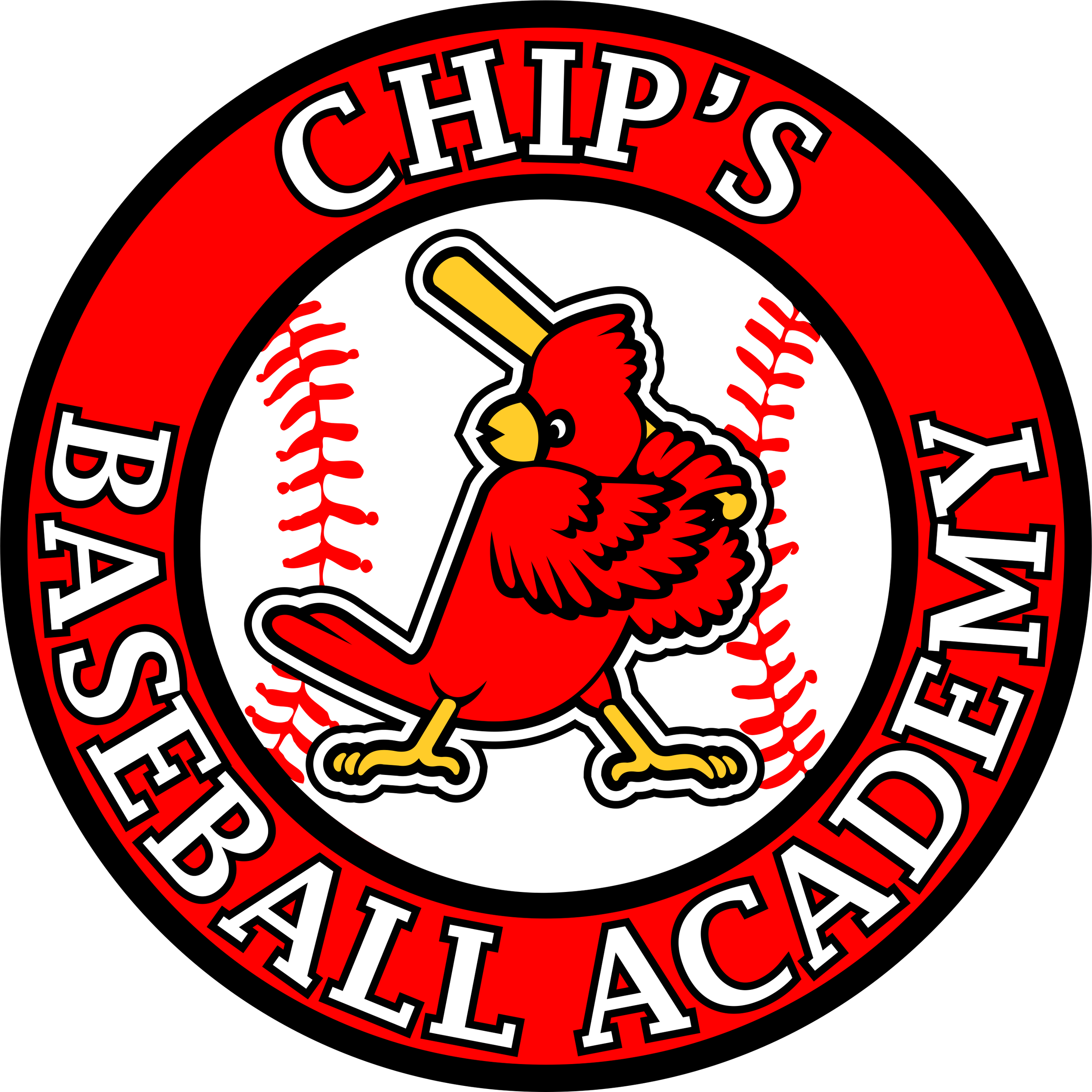 Chip's Baseball Academy 2/3