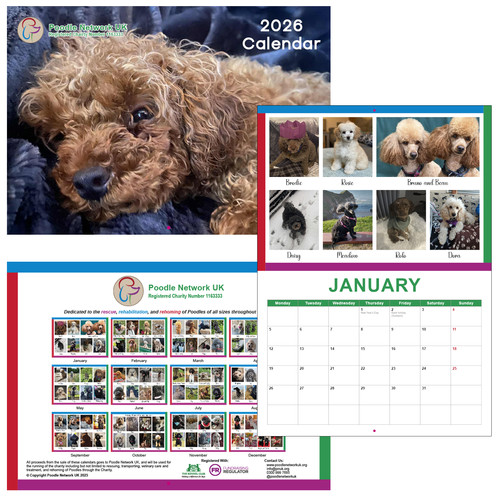 2026 Poodle Network UK Wall Calendar | poodlenetworkuk