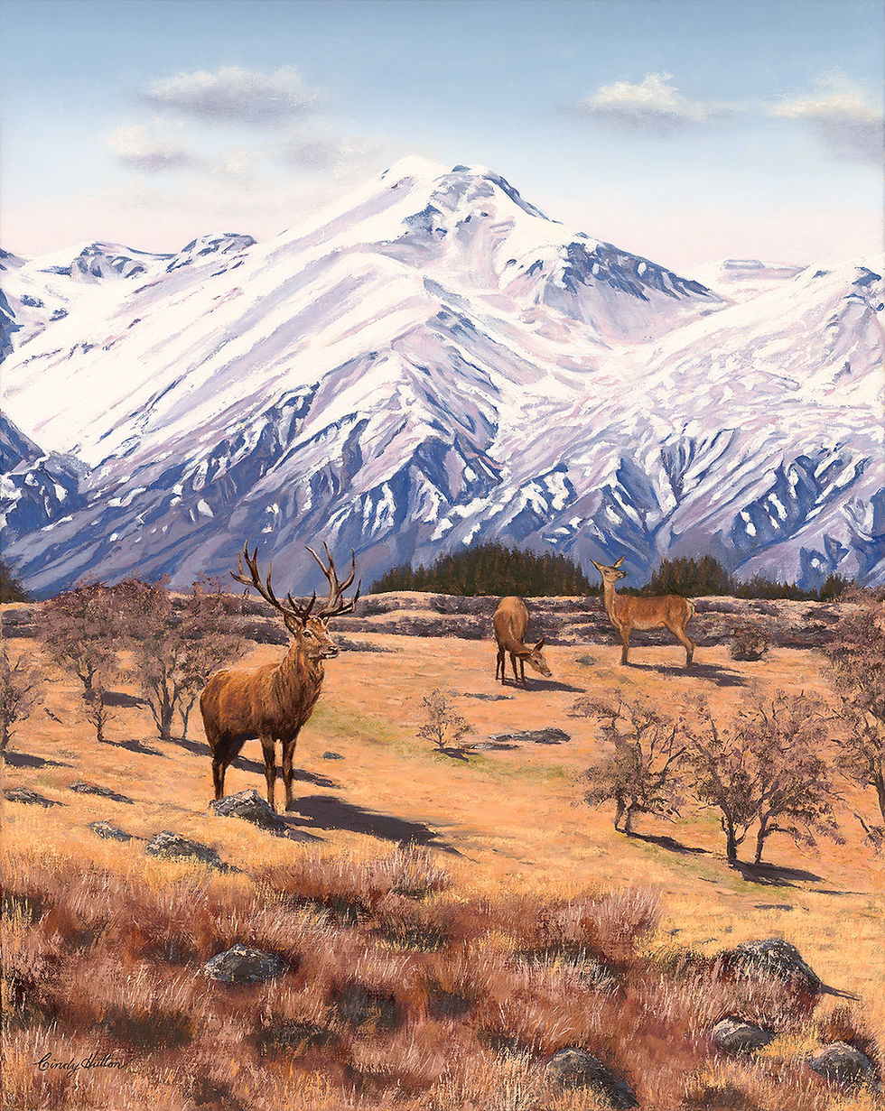 Oil paintings realism style | Cindy Hutton Cherub Art | New Zealand