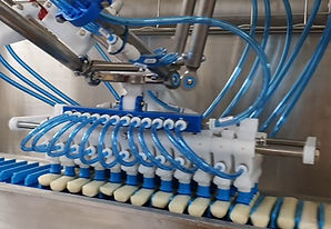 CUSTOMIZED LOADERS | ElcatFoodTechnology